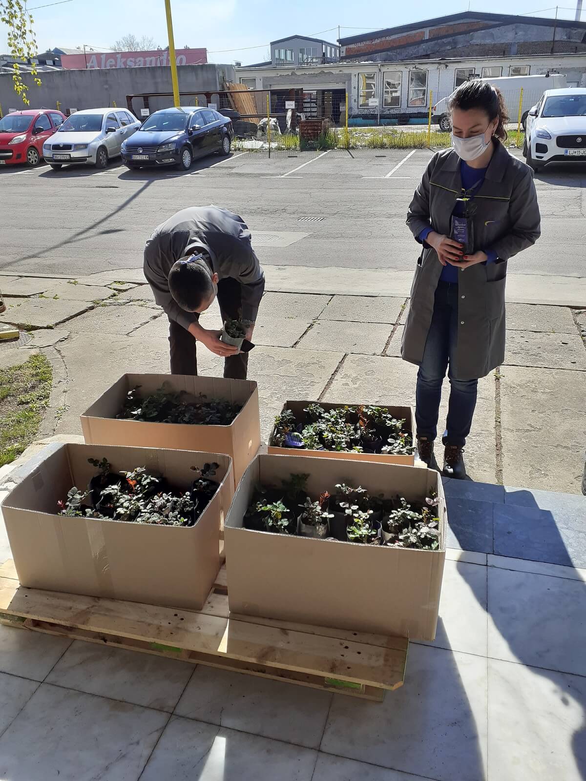 ADP Dan – AD Plastik