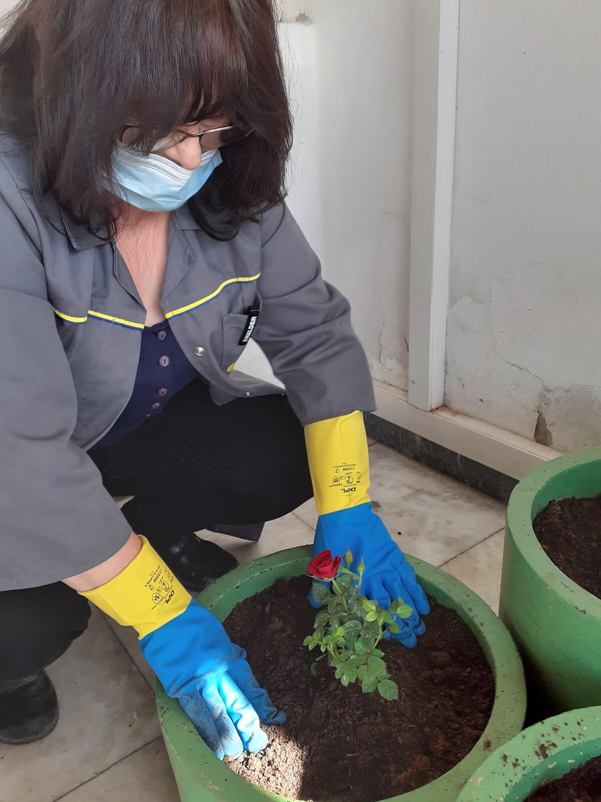 ADP Dan – AD Plastik